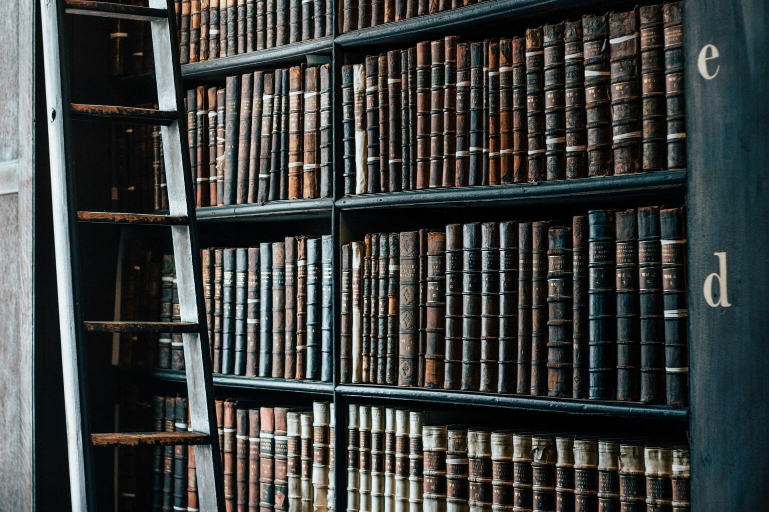 Bac de français : les différentes formes de roman - AuFutur