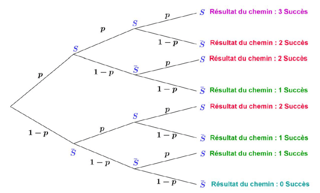 Loi de Bernoulli : définition, propriétés et modèle - AuFutur
