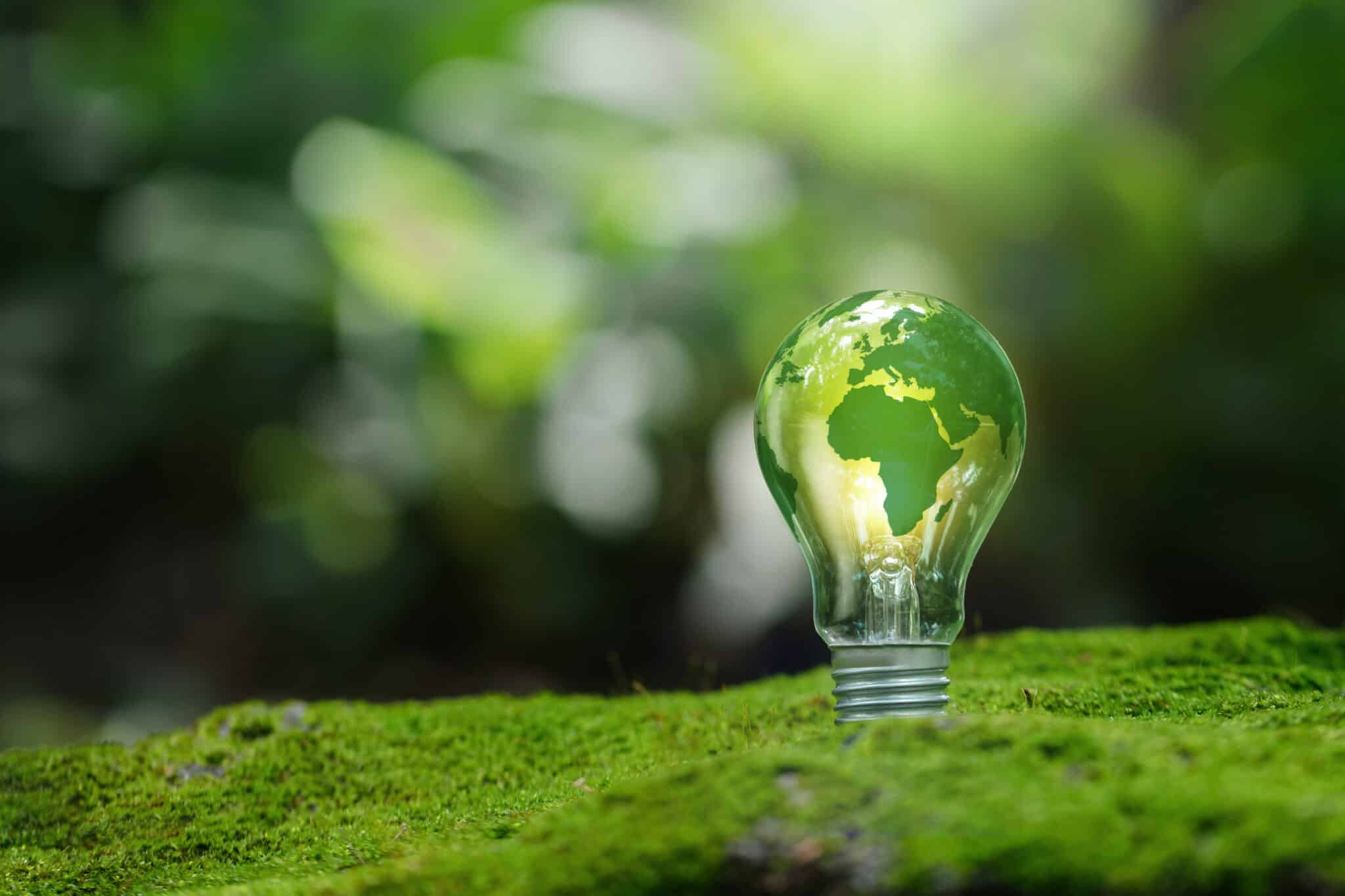 SES : les énergies renouvelables, l'environnement et l'économie - AuFutur