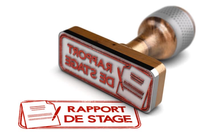 Introduction rapport de stage : méthodologie, conseils et exemples ...