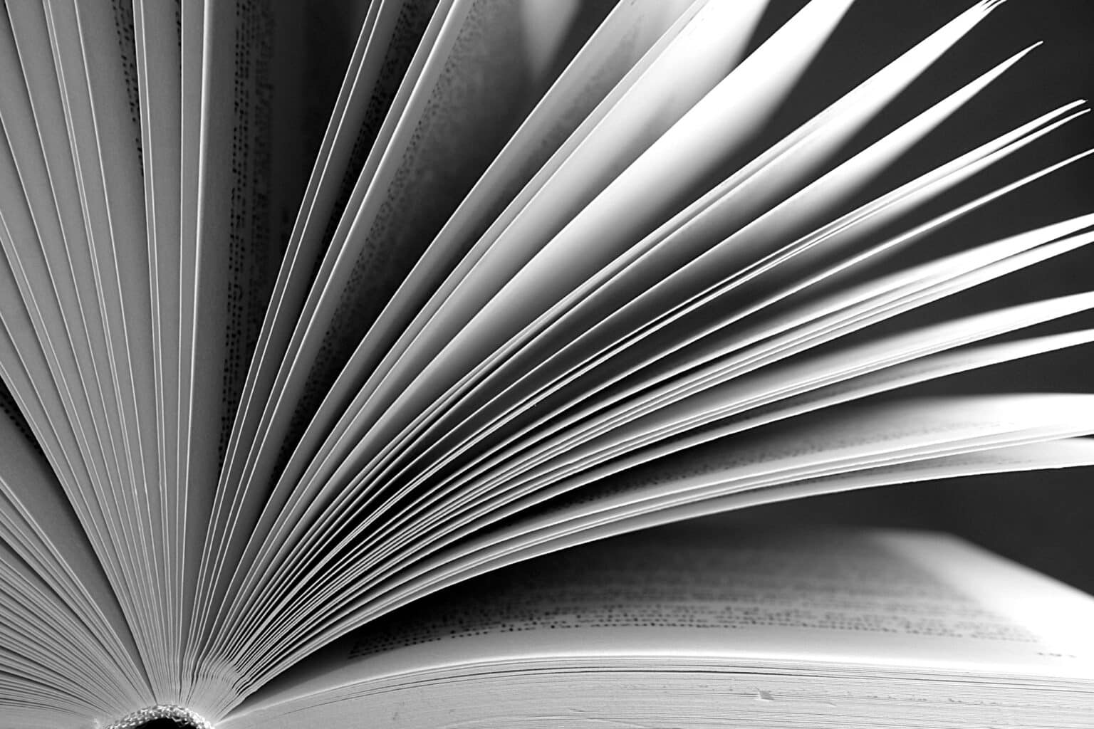 Le roman et le récit au bac de français 2026 - AuFutur