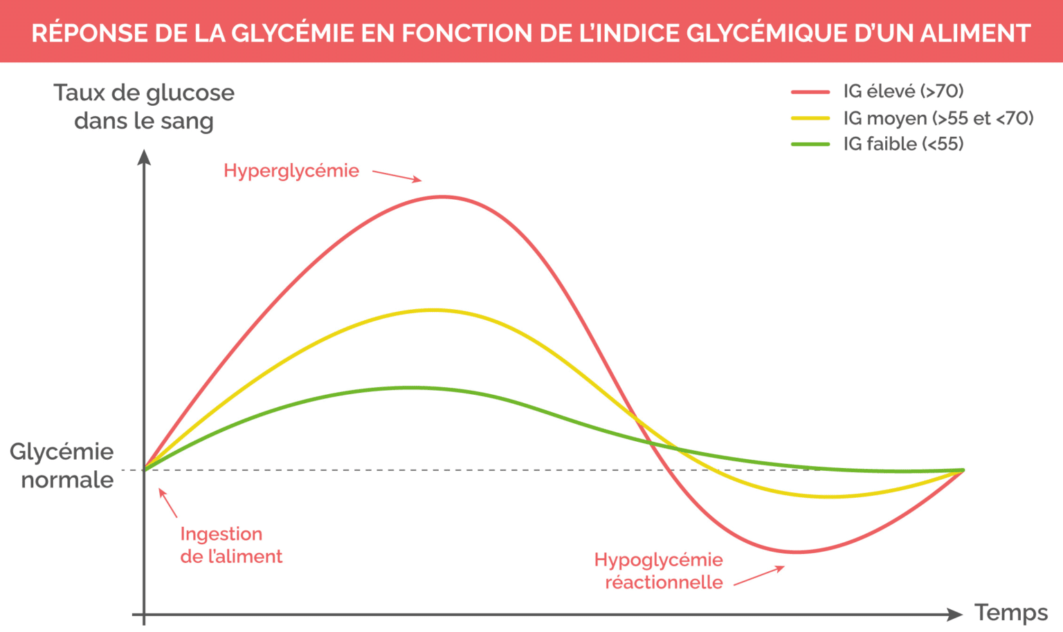 La régulation de la glycémie : hormones et mécanismes